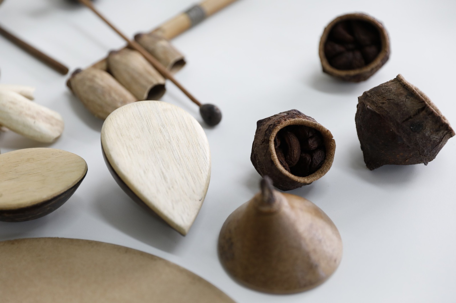 Curso de bioinstrumentos do Liceu Claudio Santoro incentiva a ...